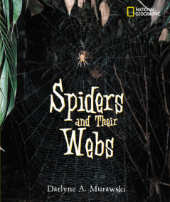 I'm Trying to Love Spiders by Bethany Barton | PenguinRandomHouse.com