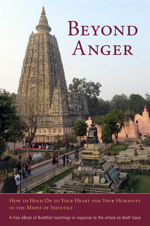 Beyond Anger | Random House Publishing Group