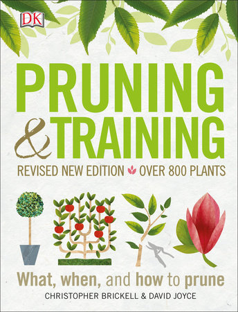 Foraging with Kids by Adele Nozedar: 9781786781635 | PenguinRandomHouse ...