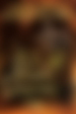 Authors - WaterBrook & Multnomah and Ink & Willow