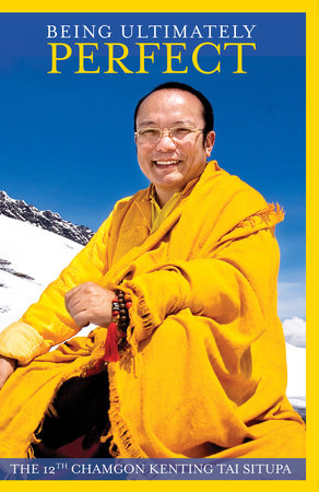 Being Ultimately Perfect | Random House Publishing Group